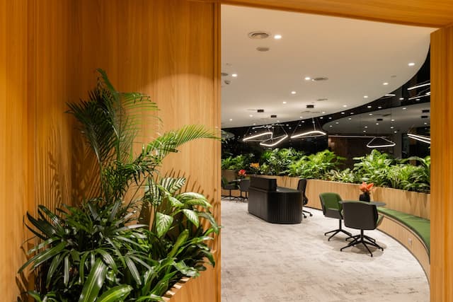 Works/Portfolio - Steven Leach Group