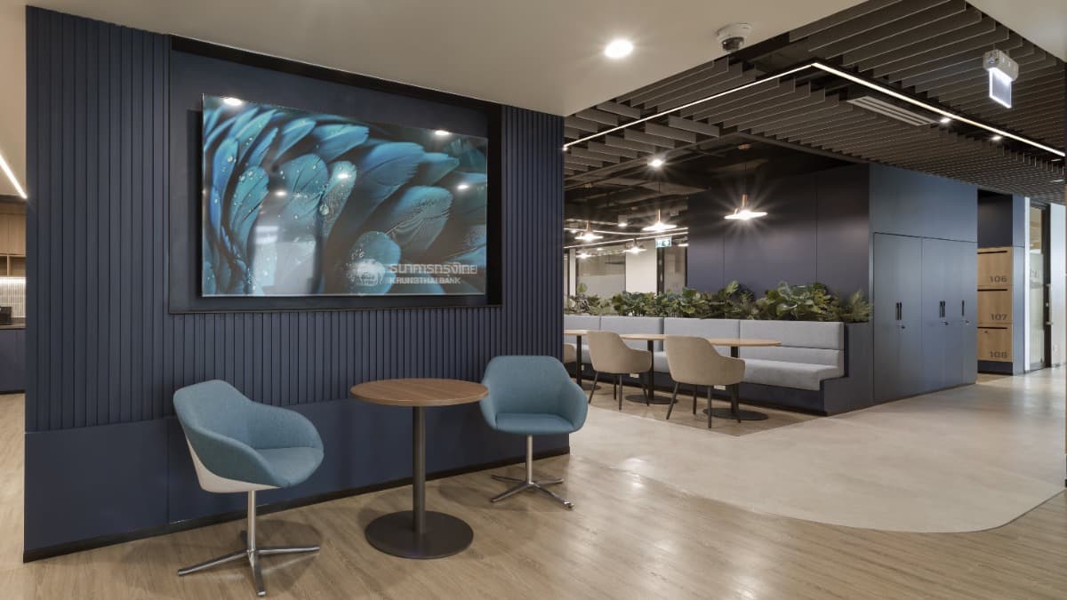 Works/Portfolio - Steven Leach Group